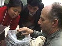 Tea Movie Review: All in This Tea – Tea Blog