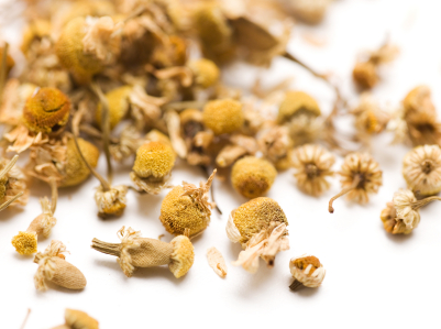 Chamomile Basics – Tea Blog