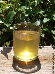 Spring Equinox Means Time for Tea – Tea Blog