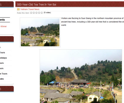 In Search of the World’s Oldest Tea Tree – Tea Blog