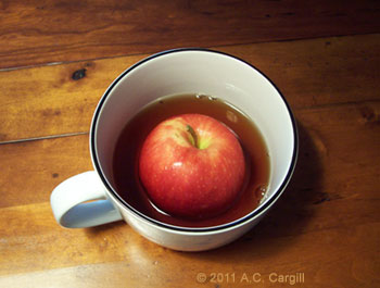 The Language of Teacup Design – Tea Blog