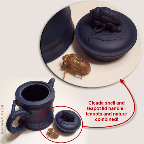 Nature and Your Teapot – Looking Too Much Alike? – Tea Blog